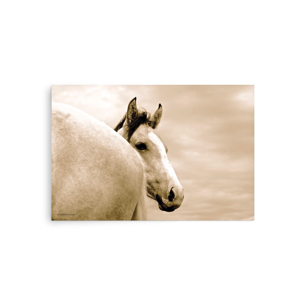 SAFE DISTANCE - Unframed Poster – Wild Horse Love