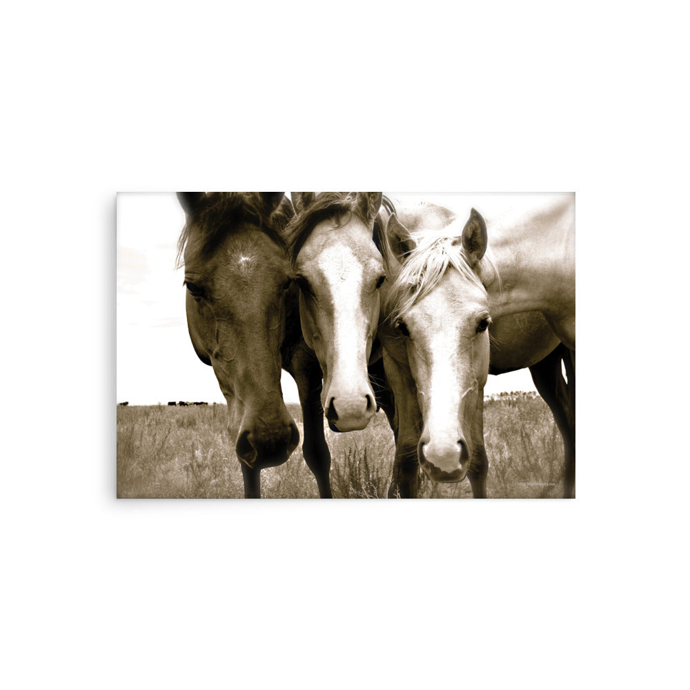 HOLY TRIO - Unframed Poster – Wild Horse Love
